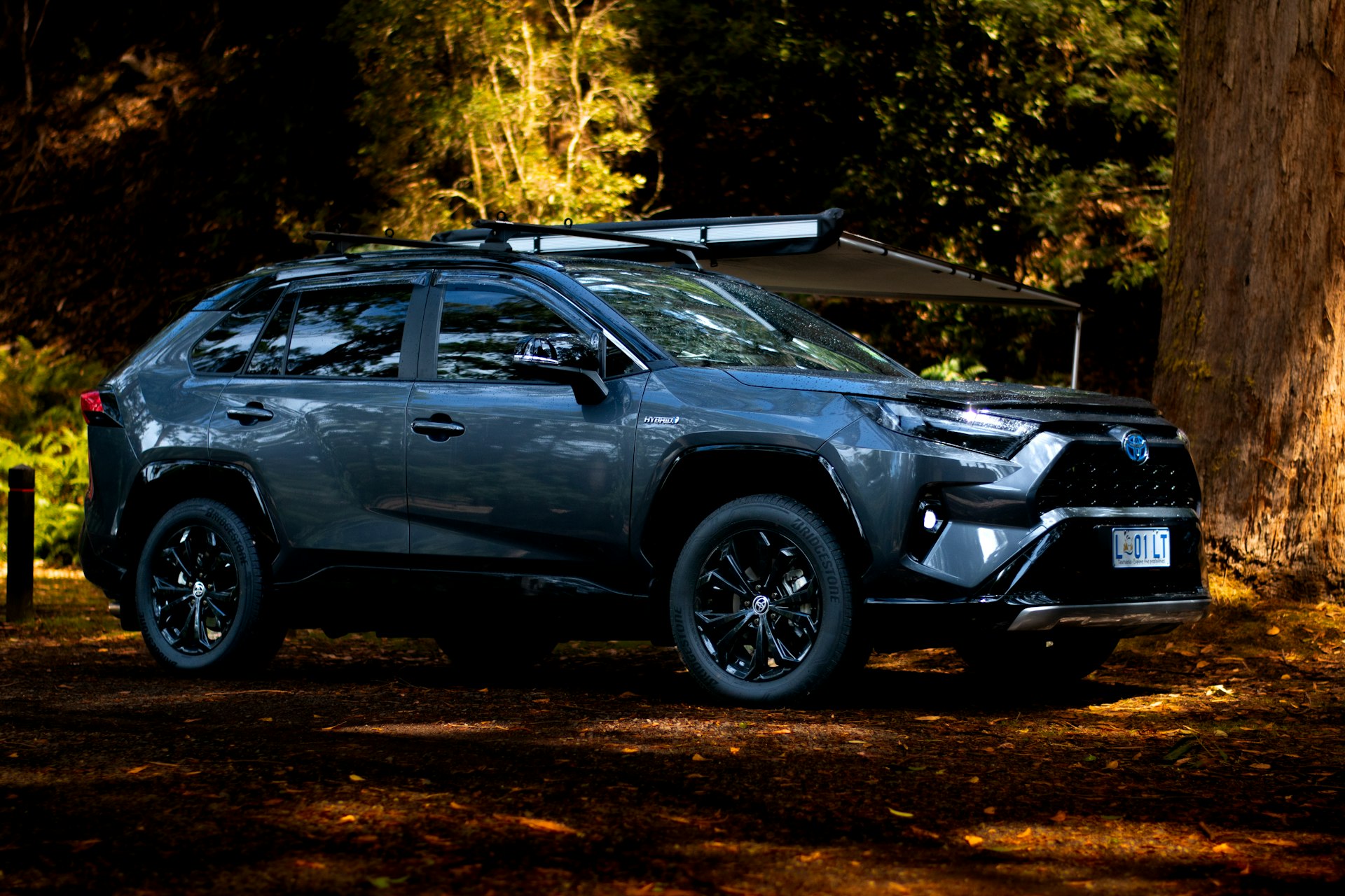 Van & SUV Camping NZ: Your Ultimate 2026 Guide to Sites & Rules